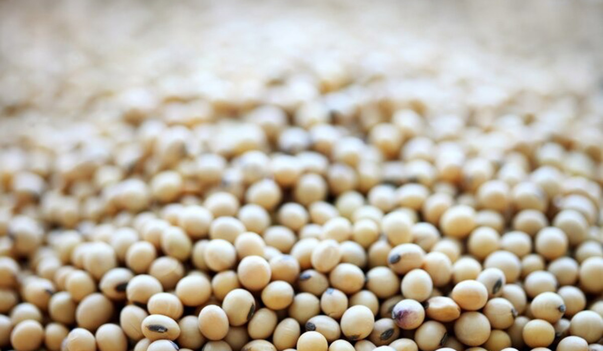 EL DÍA - Noticias de Bolivia para el mundo