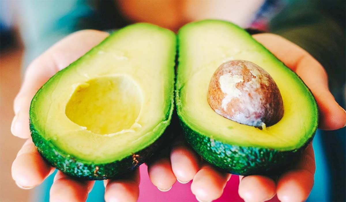 EL DÍA - Noticias de Bolivia para el mundo