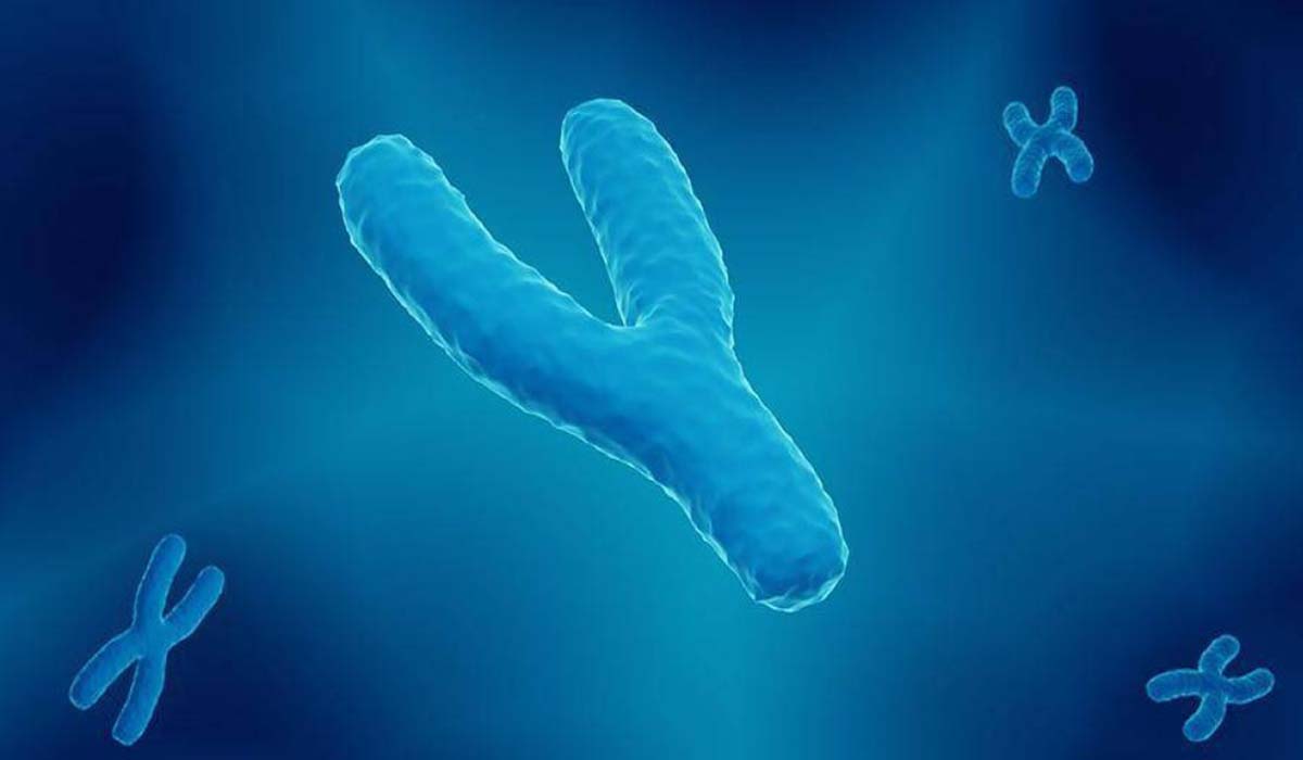 EL DÍA - Noticias de Bolivia para el mundo