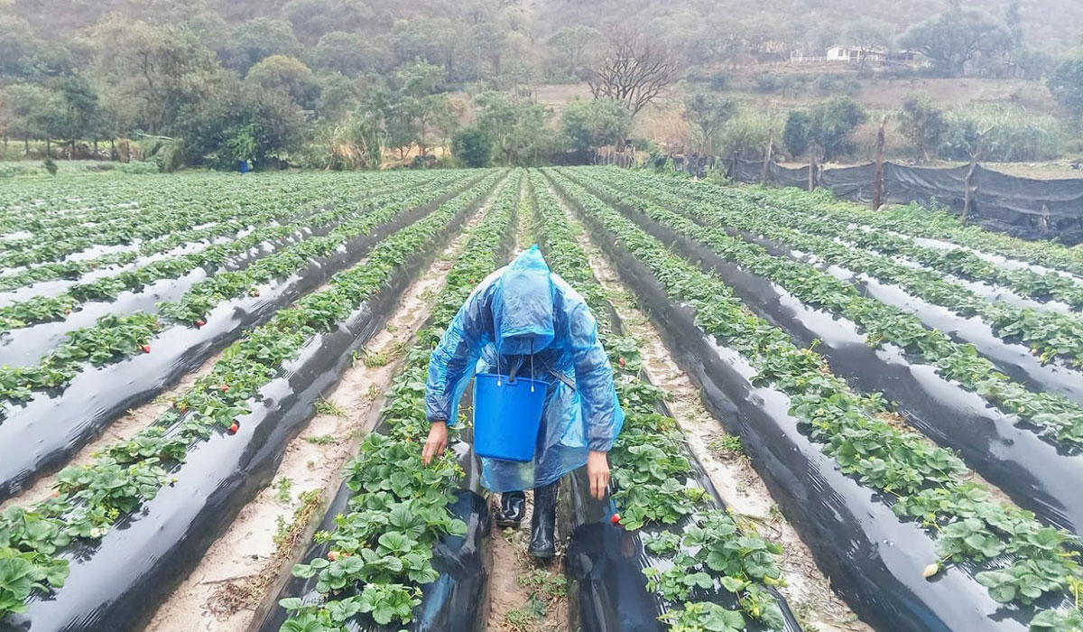 EL DÍA - Noticias de Bolivia para el mundo