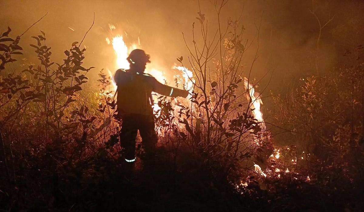 EL DÍA - Noticias de Bolivia para el mundo