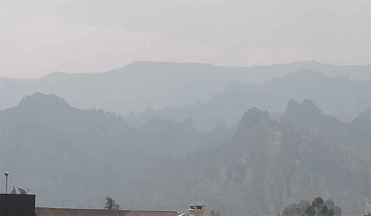 EL DÍA - Noticias de Bolivia para el mundo