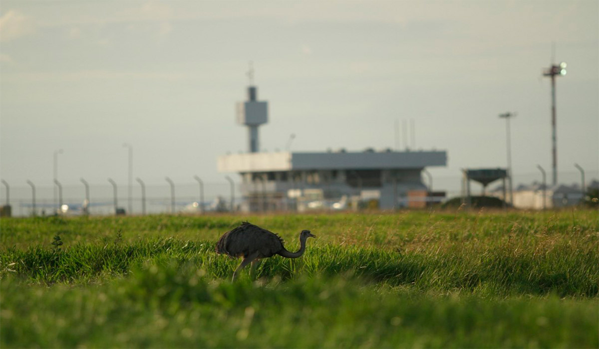 EL DÍA - Noticias de Bolivia para el mundo