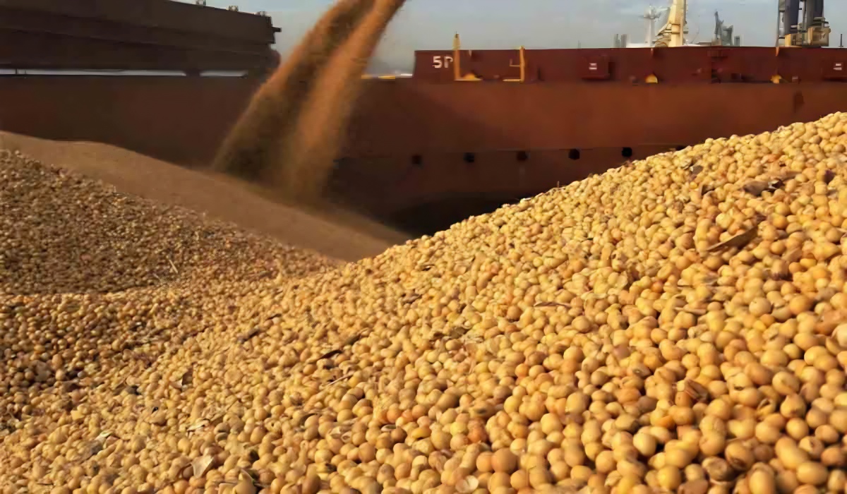 EL DÍA - Noticias de Bolivia para el mundo