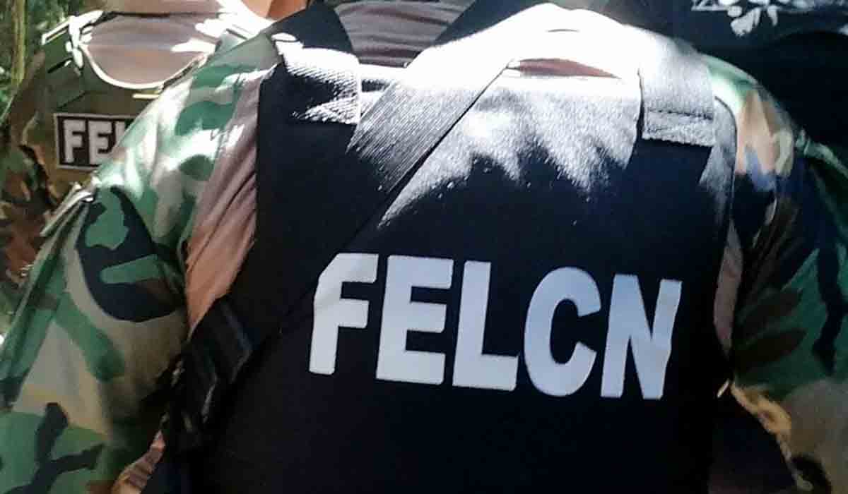 EL DÍA - Noticias de Bolivia para el mundo