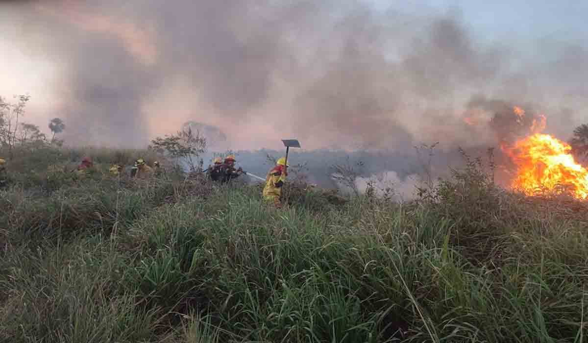 EL DÍA - Noticias de Bolivia para el mundo