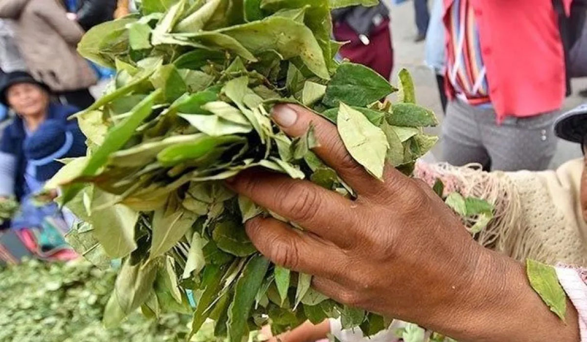 EL DÍA - Noticias de Bolivia para el mundo